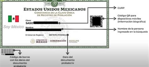 1 Cómo Descargar e Imprimir mi CURP en México Guía completa