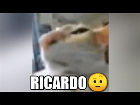 MEMES MUY XD 159 YouTube