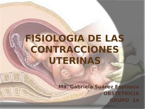 PPTX Fisiologia De Las Contracciones Uterinas DOKUMEN TIPS