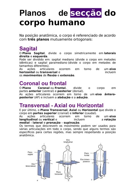 Plano De Secção Do Corpo Humano LIBRAIN