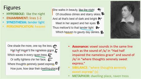 She Walks In Beauty Poem Analysis Metrical Figures Main Points Of