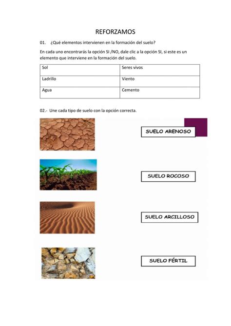 El Suelo Online Activity Ciencias De La Naturaleza Ciencias