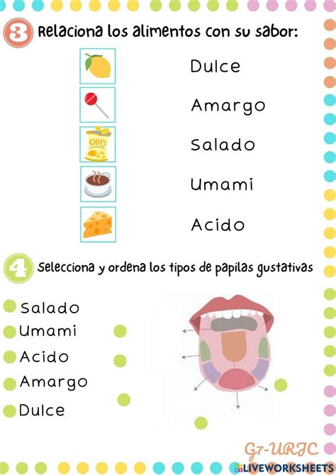 Ficha Online De Los Sentidos Para Puedes Hacer Los Ejercicios