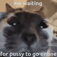Discord Discord Discover Share Gifs