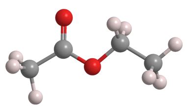Ethyl Acetate Lewis Structure