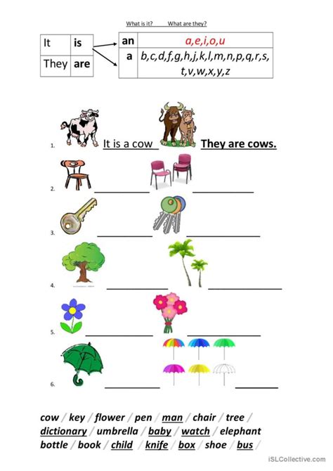 Singular And Plural Sentence Fran Ais Fle Fiches Pedagogiques Pdf Doc
