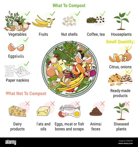 Infographie sur le compostage du bac avec des restes de cuisine Quoi à
