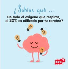 270 ideas de Sabías qué en 2022 sabías que sabias que datos