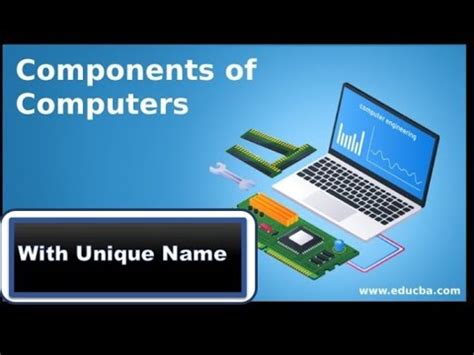Component Of Computer Basic Component Of Computer System Youtube