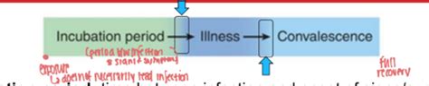Principles Of Disease And Epidemiology Chapter Flashcards Quizlet