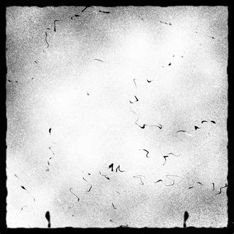 Dusty Splash Of Black And White Paint Grunge Textures Film Grain Old