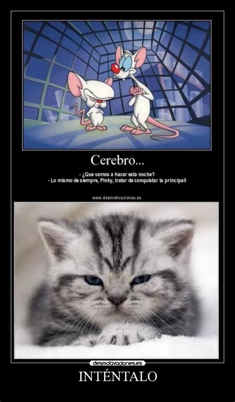 Im Genes Y Carteles De Pinky Desmotivaciones