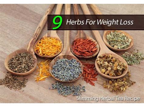 9 Herbs For Weight Loss A Slimming Herbal Tea Recipe Healthy Foods