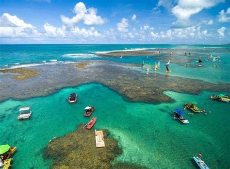 As 20 MELHORES praias do Nordeste para ir nas férias