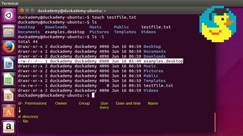 Linux Commands For Beginners Basic Linux Command Line Usage YouTube