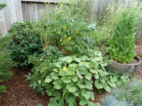 Edible Landscapes Gardefacts Design