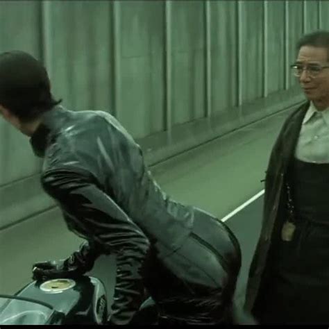 Carrie Anne Moss Rcelebritybutts