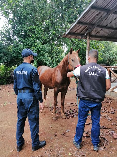 Policía Nacional on Twitter La Policía Nacional mantiene sus