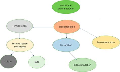 Recent Applications Of Bioremediation And Its Impact Intechopen