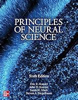 Principles Of Neural Science By Eric R Kandel