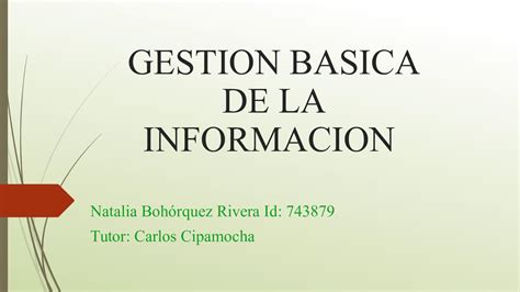 Calaméo Gestion Basica De La Informacion