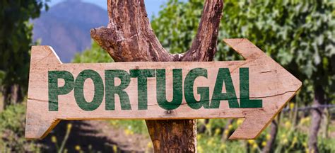 Os 14 tipos de Vinhos de Portugal as uvas e regiões vinícolas Bem