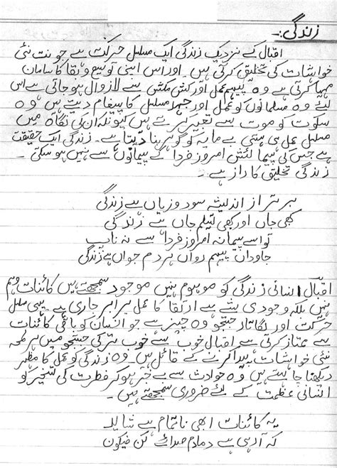 Essay On Female Education In Urdu Telegraph