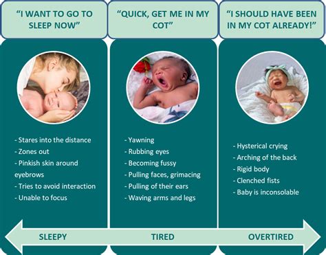 Sleep Wake Windows V Sleep Cues