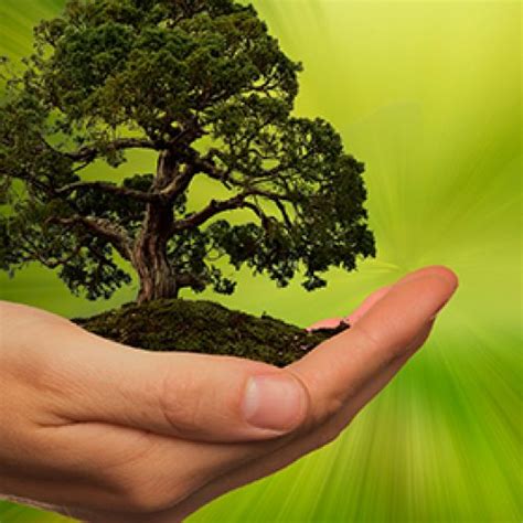 Natural Resources And Their Types Danish Institute For Sustainability