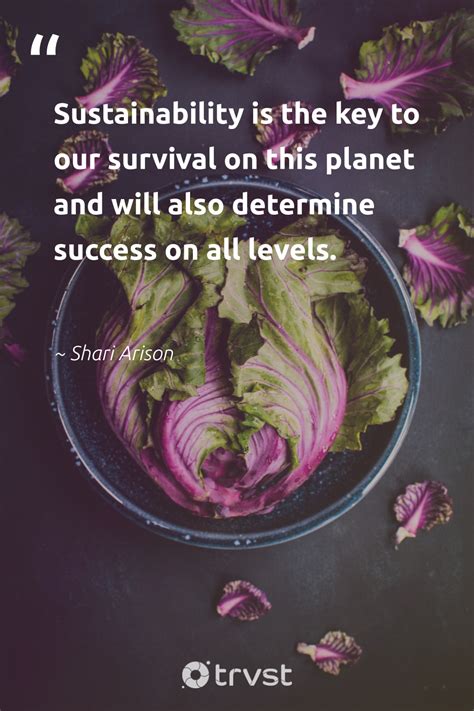 Sustainability Quotes And Sayings Inspiring Sustainable Living Artofit