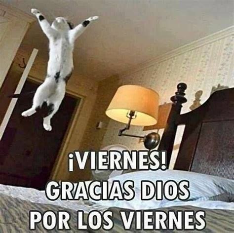 Im Genes Con Frases Fotos Y Gifs Animados Desear Un Feliz Viernes En