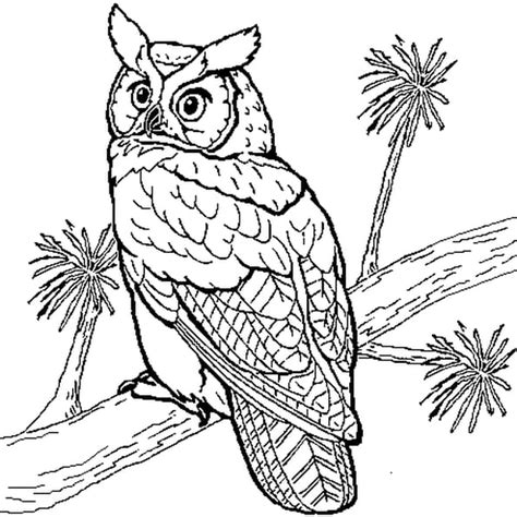 Coloriage Hibou En Ligne Gratuit Imprimer