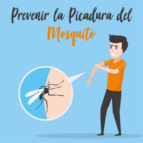 Arriba 99 Foto Piquete De Mosquito En El Ojo Mirada Tensa