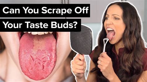 Do TASTE BUDS Grow Back YouTube