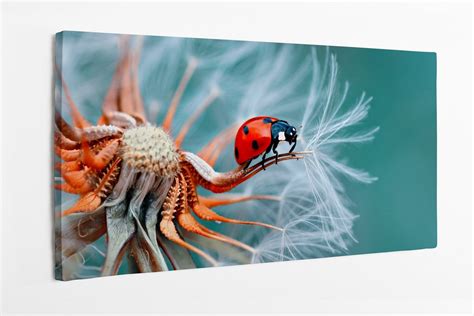 Obraz na płótnie HOMEPRINT biedronka dmuchawiec przyroda natura