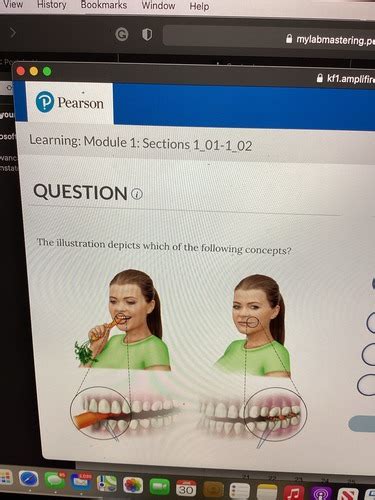 Bio 201 Anatomy And Physiology Flashcards Quizlet