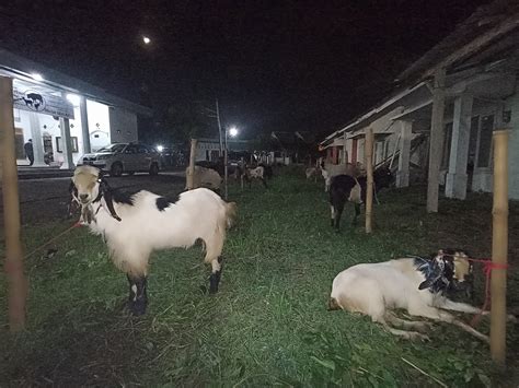 PURI KRATON REGENCY Hasil Rapat Takmir Persiapan Idul Adha 1444 H