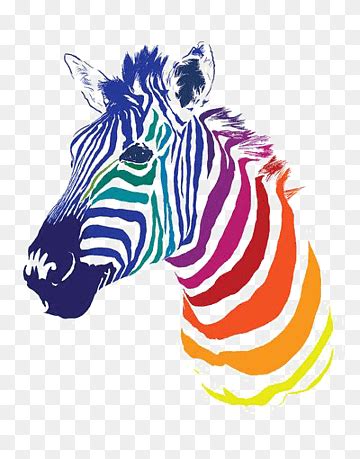 Colorful Zebras Clip Art Library