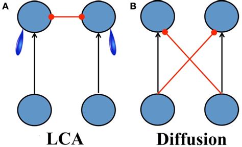 architecture of the two choice reaction time models a the leaky download scientific diagram