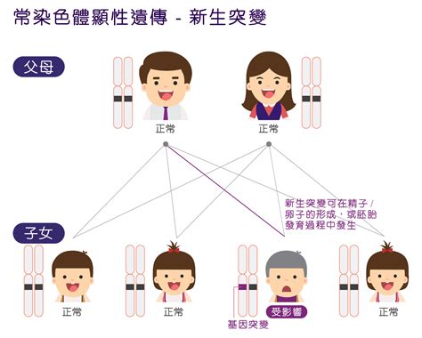 Non Invasive Prenatal Monogenic Disorder Test DS1 2 3 Diagcor