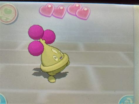 Shiny Bonsly Pokémon Amino