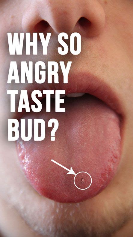 How To Get Your Smell And Taste Buds Back Plmaway