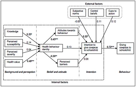 Health Belief Model Theory