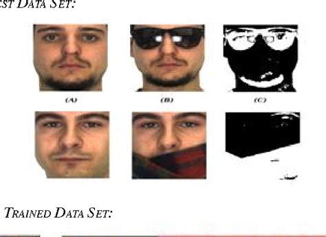 [pdf] image based occlusion verification in face detection and age estimation using adaboost and