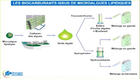 II Comment synthétiser les biocarburants TPE Les biocarburants