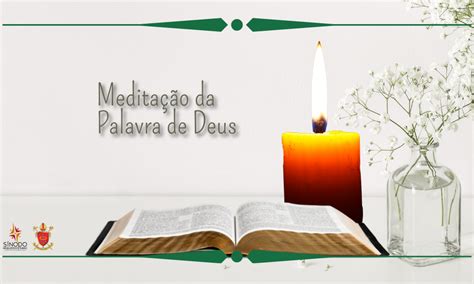 Reflexão 11º Domingo do Tempo Comum Ano B 13 de junho