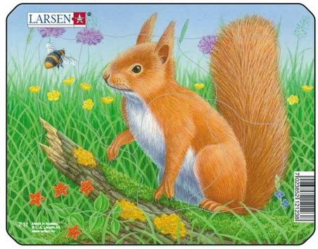 Rahmenpuzzle Eichhörnchen Puzzle online kaufen