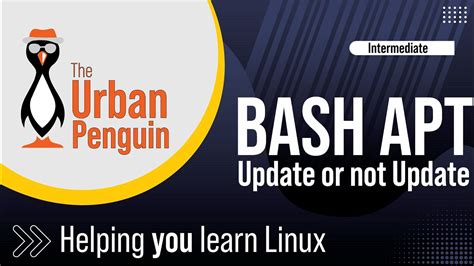 Scripting APT Updates Using Bash Shell Scripts YouTube