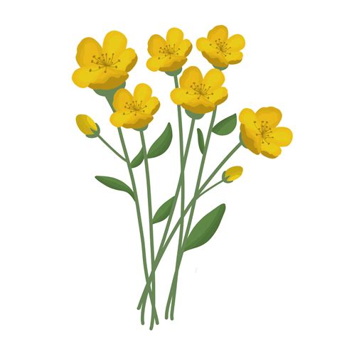 hermoso ramo de flores amarillas ilustración 14322776 PNG
