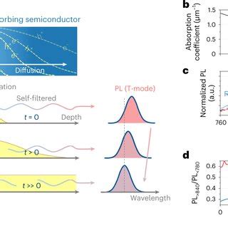Self Filtering Effect On The Transient PL Spectrum Of Semiconductors A